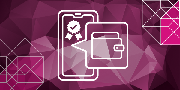 The Challenges of Certifying the EUDI Wallet: A Deep Dive